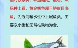 鲅鱼怎么读拼音_鲅鱼是海鱼吗