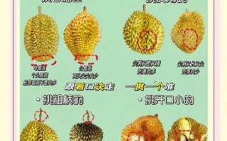 榴莲怎么吃不臭_榴莲不臭的吃法
