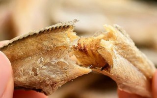 黄鱼力荐年满十八岁免费_如何安全领取