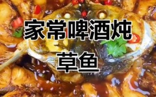 啤酒炖草鱼的家常做法_草鱼怎么炖不腥