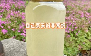 洋槐蜜真假图片对比_如何辨别洋槐蜜真假