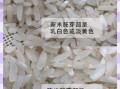 陈粟米是什么米_陈粟米和普通小米区别