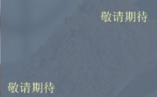 蒲黄炭的功效与作用_蒲黄炭止血多久见效