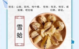 雪蛤的功效与作用禁忌_雪蛤适合什么人吃