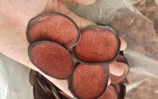鹿血真的能提高性功能吗_鹿血壮阳科学依据