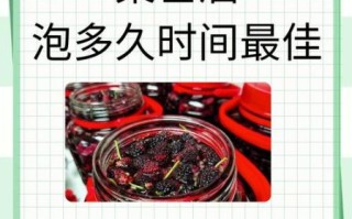 桑葚酒怎么泡制方法_桑葚酒泡多久可以喝