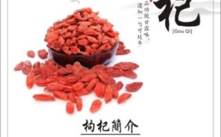 杞子的功效与作用及禁忌_什么人不能吃杞子