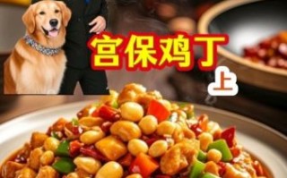 宫保鸡丁电视剧剧情介绍_宫保鸡丁电视剧好看吗