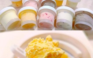 家庭自制冰淇淋的做法_不加奶油也能做吗