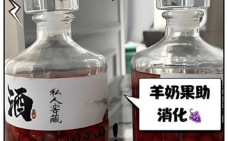 羊奶果泡酒的功效与作用_羊奶果泡酒怎么泡才好喝