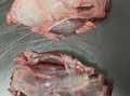 腱子肉是猪的哪个部位_腱子肉在猪身上哪里