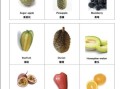 what_are_the_names_of_fruits_in_english