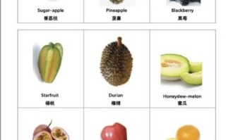 what_are_the_names_of_fruits_in_english
