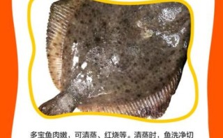 活的多宝鱼多少钱一斤_多宝鱼价格行情