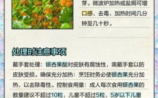 新鲜银杏果怎么处理_银杏果去毒方法