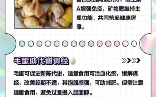 毛鸡蛋的营养价值_毛鸡蛋吃了有什么好处