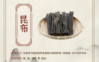 昆布是什么_昆布的功效与作用
