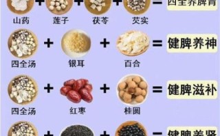 食疗养生吃什么好_食疗养生有哪些禁忌