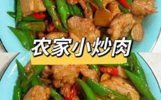 小炒肉怎么炒才嫩_家常小炒肉做法步骤