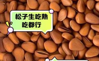 生松子和熟松子哪个营养高_生松子熟松子功效区别