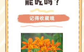 菜心上的小黄花能吃吗_小黄花有没有毒