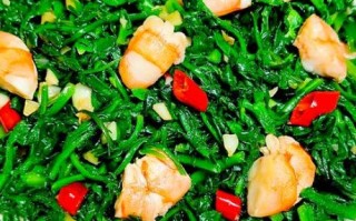 荠菜怎么吃_荠菜的家常做法大全