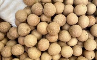 龙眼干的功效与作用_龙眼干吃多了会上火吗