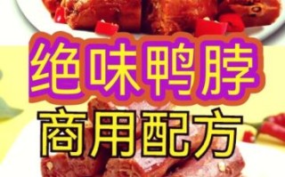 绝味鸭脖的做法_绝味鸭脖的配方视频