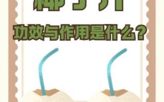 青椰子汁的功效与禁忌_哪些人不能喝