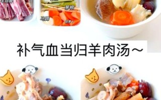羊肉煲什么汤最好_冬天喝什么羊肉汤最暖身