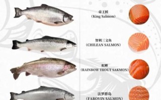 三文鱼多少钱一斤_三文鱼价格为什么差别这么大