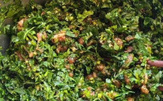 香菜做饺子馅用焯水吗_香菜饺子馅焯水技巧