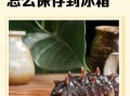 海参怎么发酵最好_海参发酵的正确方法