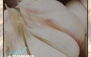 大蒜的营养价值_吃大蒜有什么好处