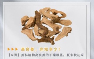 高良姜的功效与作用_高良姜怎么吃效果好