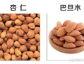 美国大杏仁和巴旦木一样吗_营养价值区别