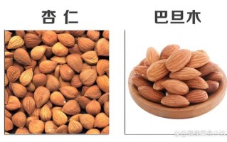 美国大杏仁和巴旦木一样吗_营养价值区别
