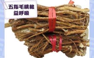 五指毛桃根的功效与作用_适合什么人吃