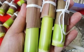 竹叶粽子怎么包_竹叶粽子包法教程视频