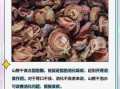 山楂片泡水的功效与作用_山楂片泡水能减肥吗
