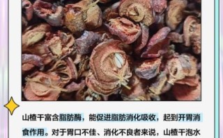 山楂片泡水的功效与作用_山楂片泡水能减肥吗