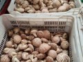 香菇销售渠道有哪些_香菇怎么卖得快