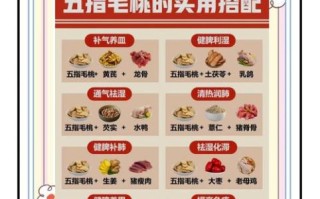 五指毛桃泥鳅汤怎么做_五指毛桃泥鳅汤功效