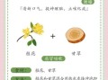 桂花和什么一起泡水喝好_桂花茶最佳搭配