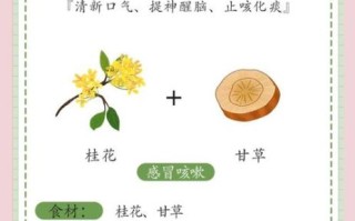 桂花和什么一起泡水喝好_桂花茶最佳搭配