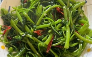 青菜怎么炒好吃_好吃的青菜菜谱大全