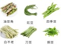 江豆和豇豆的区别_哪个才是日常餐桌主角