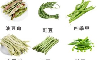 江豆和豇豆的区别_哪个才是日常餐桌主角
