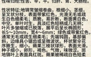 地锦草别名有哪些_地锦草与斑地锦区别