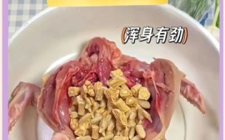 鸽子汤怎么做好吃不腥_鸽子汤去腥技巧